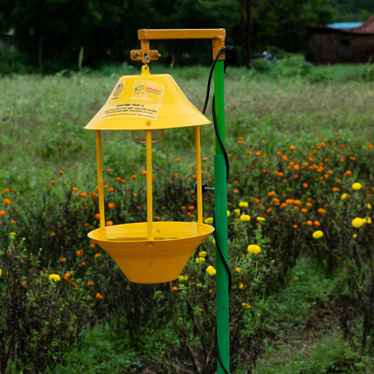 Effective Insect Pest Management for Agriculture | King Catcher ...